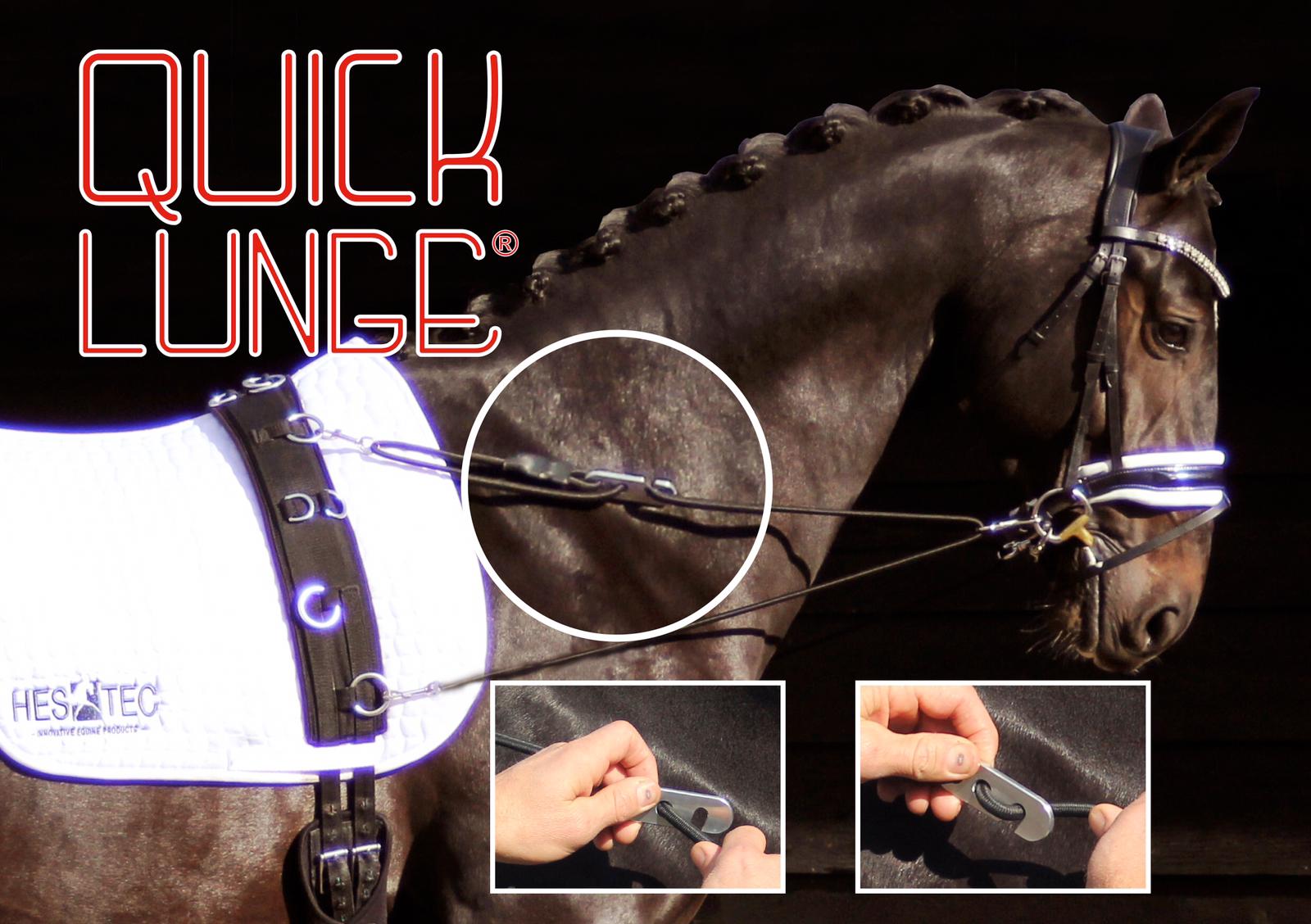 QUICK LUNGE® - lonžovací vyvázání pro koně a pony